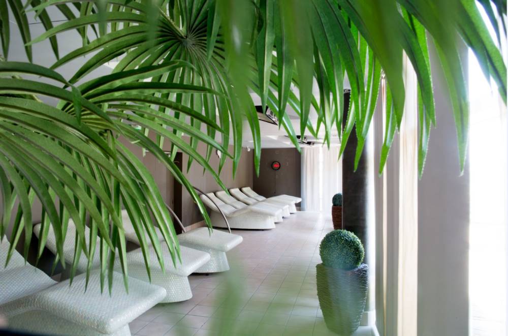 Royatonic - Spa, Bien-être, Aquagym, Massages, Sauna à Royat (63)